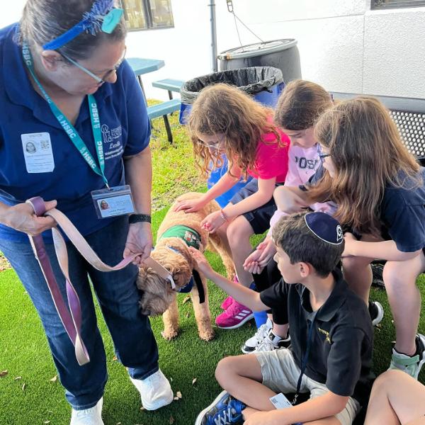 Therapy Dogs Visit Campus – Posnack School