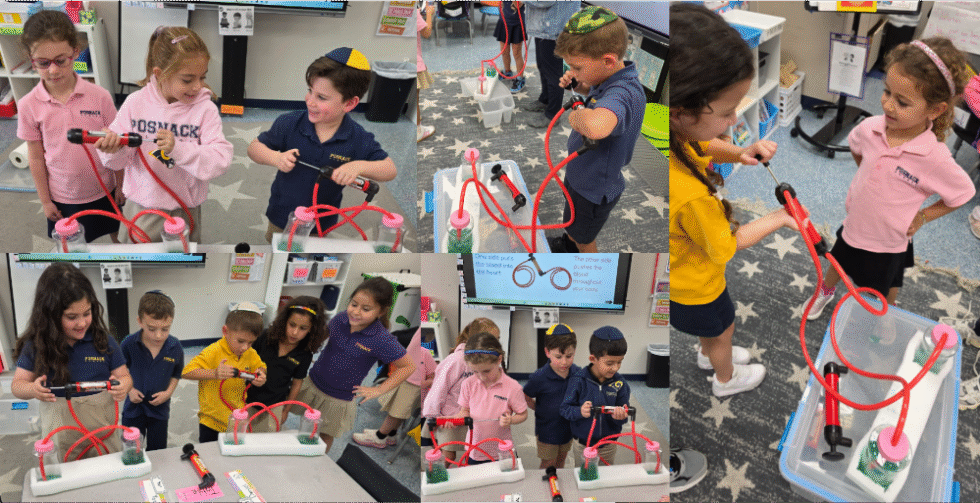 This Week in Science Class… | Posnack School