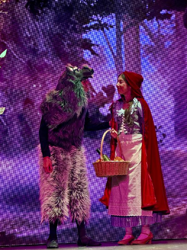 Audiences Thrill to Into the Woods – Posnack School