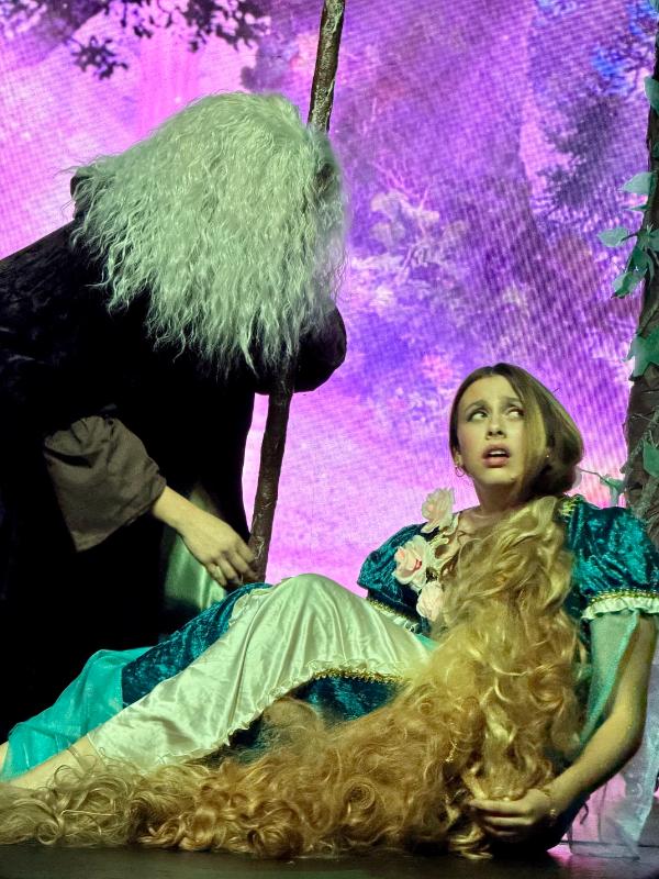 Audiences Thrill to Into the Woods – Posnack School